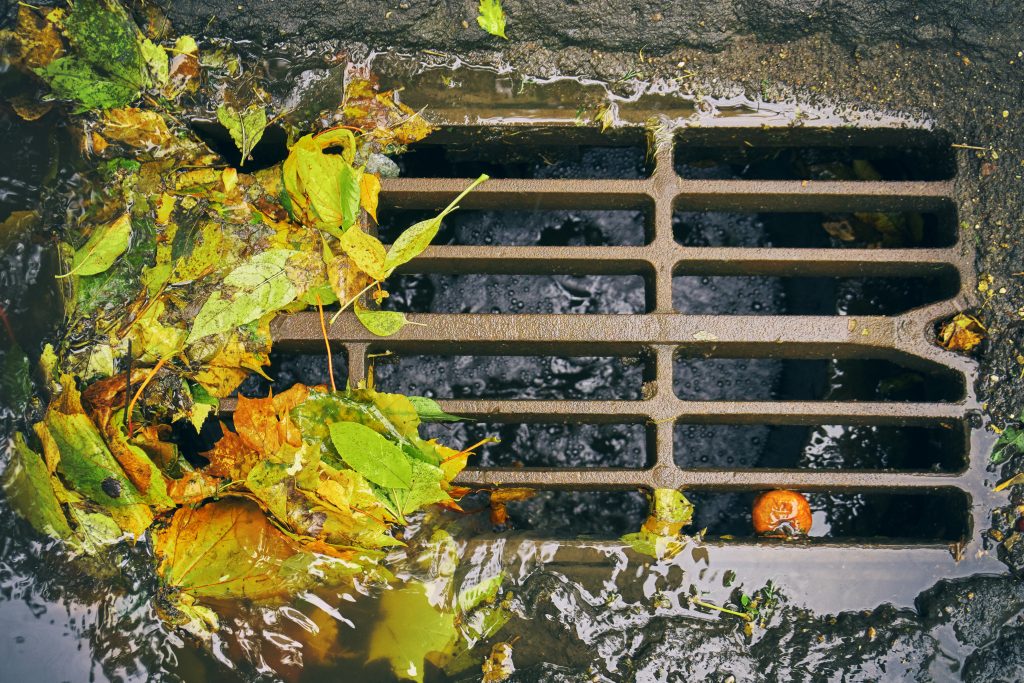 SB 205: Regulating Storm Water Pollution in California - NES Inc.