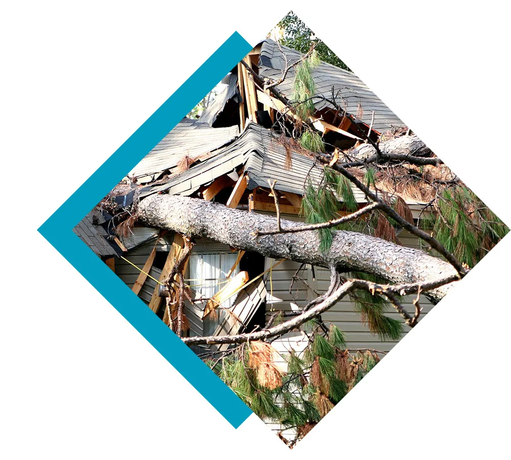 Hurricane Response - Find Environmental Health and Safety Courses