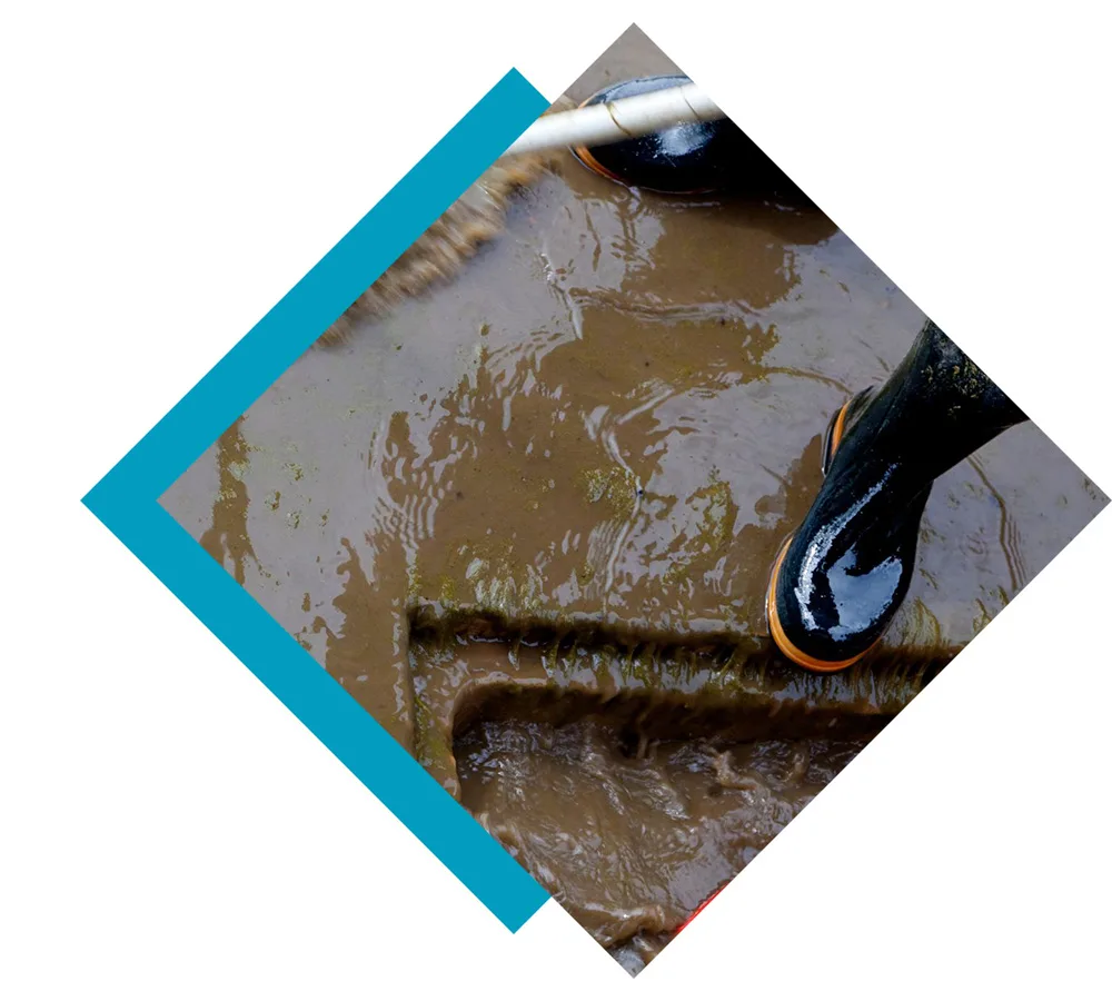 Flood Cleanup - Find Health and Safety Courses